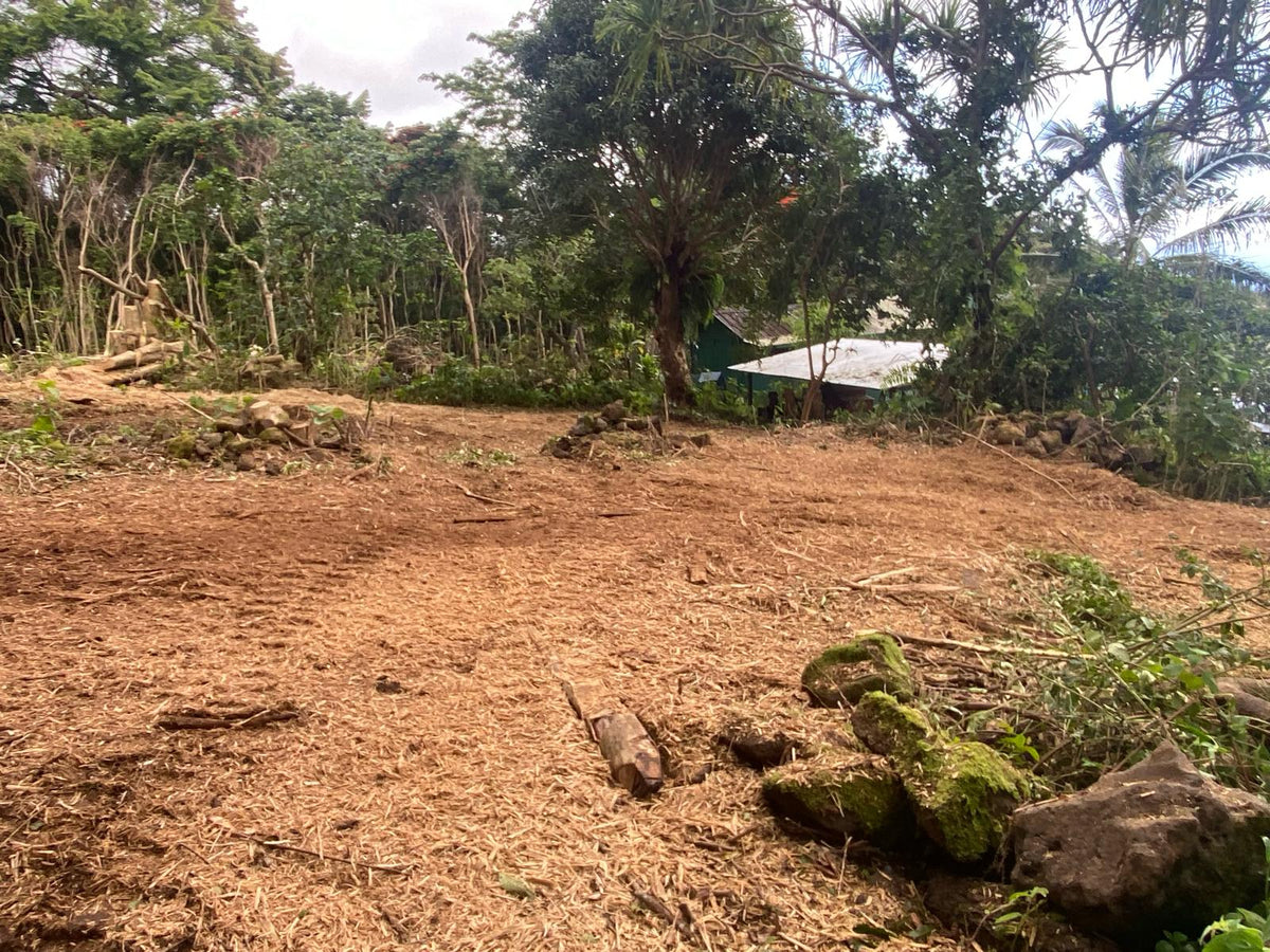 Forestry Mulching & Coffee Farm Management | Expert Land Clearing ...